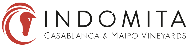 HOME | Indomita.cl